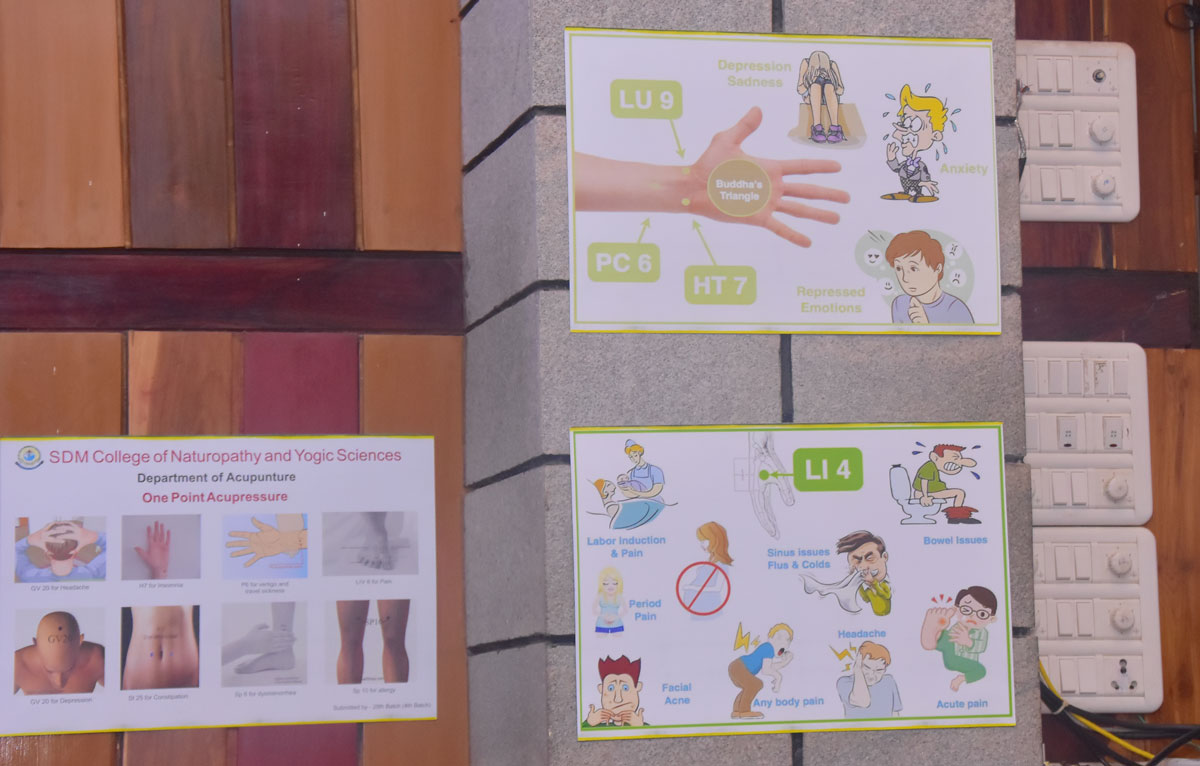 Nisargopchar Mahotsava Camp – 2020 – SDM-BNYS